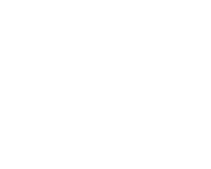 Dr. Robin L. Smith - Mental Health Champion & Fearless Truthteller